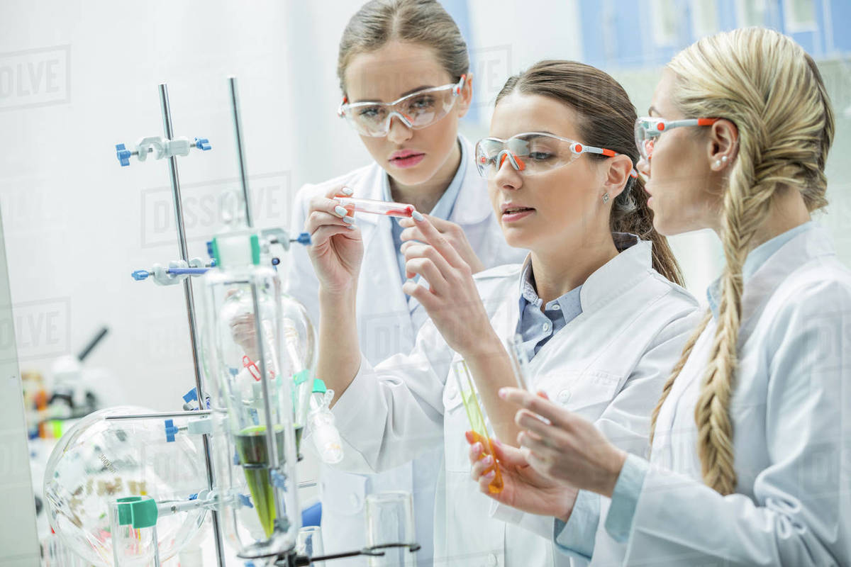 Three young concentrated female scientists making experiment in ...