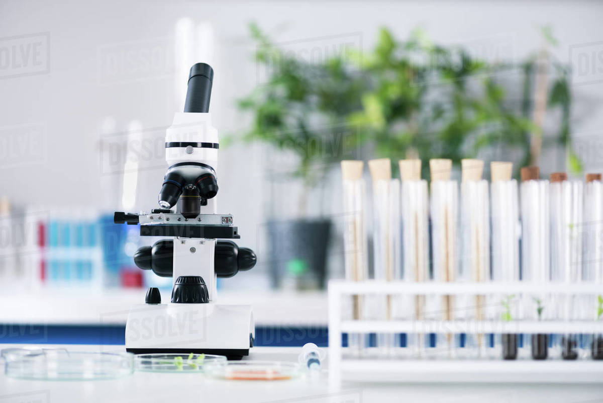 Scientific tools at workplace in modern biological laboratory - Stock ...