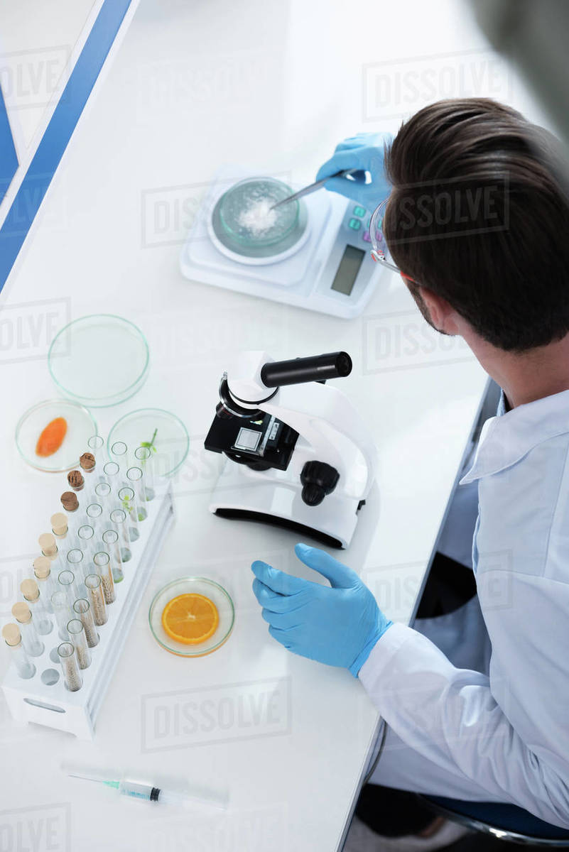 Male scientist during work at modern biological laboratory - Royalty ...