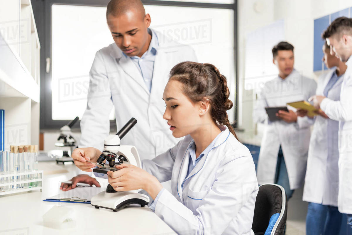 Young professional chemists working with microscope together in lab ...