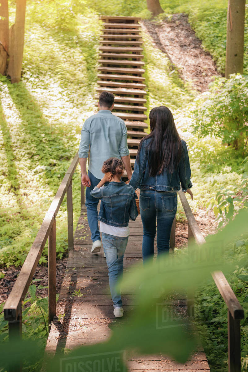 Back view of young family walking in sunny forest - Royalty-free Stock ...