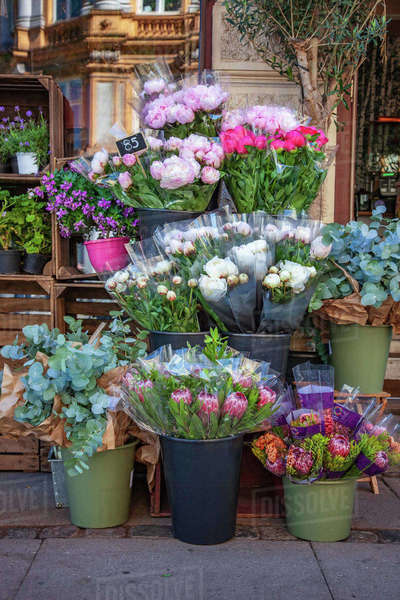 Different flowers bouquets in buckets with chalk board - Stock Photo ...