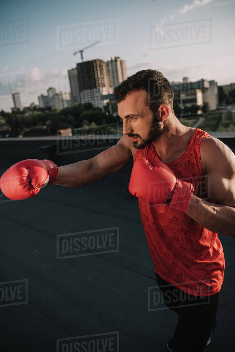 Side view of handsome boxer training with boxing gloves on roof - Stock ...