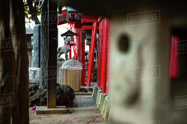 Statue Guardian Fox At Hanazono Shrine In Tokyo - Royalty-free Stock ...