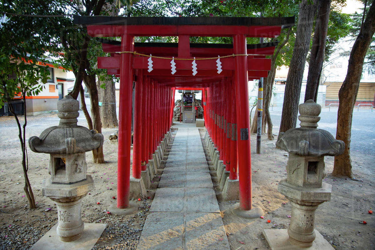 Big gate at Japanese traditional shrine. Shinjuku district Tokyo Japan ...