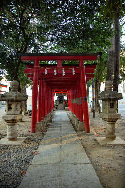 Big gate at Japanese traditional shrine. Shinjuku district Tokyo Japan ...
