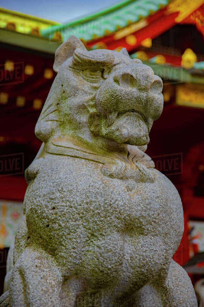 Statue guardian dog at the traditional shrine. Chiyoda district Tokyo ...