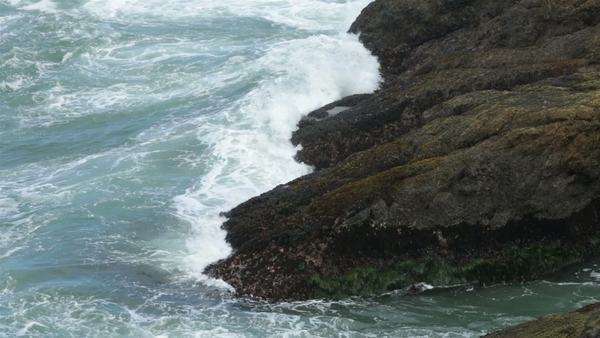 Rocky ocean shore with waves and seaweeds. Rough seas Pacific Ocean ...
