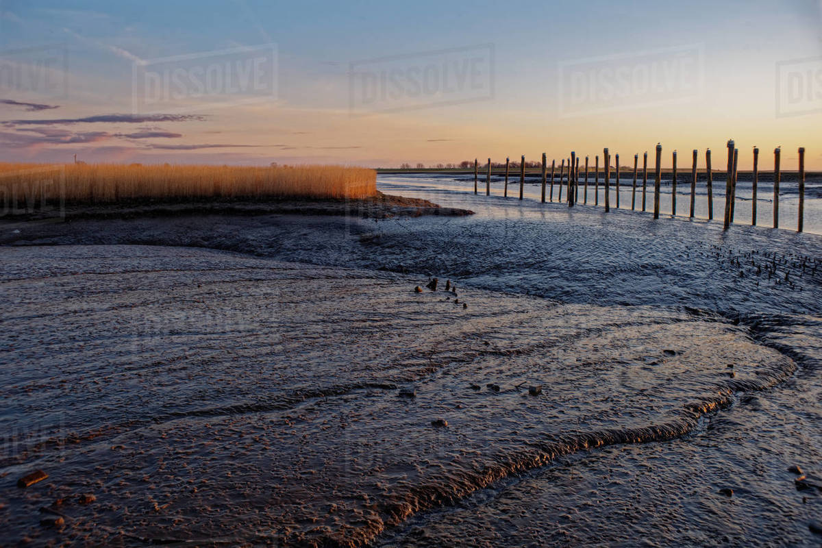 Mudflats on the banks of the Ems river at sunset, East Frisia, Lower ...