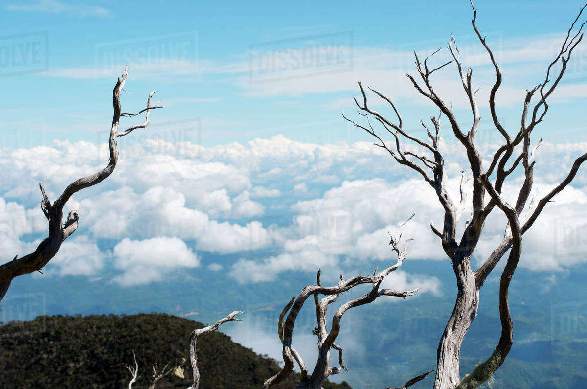 Borneo view from Kota Kinabalu mountain, Malaysia - Stock Photo - Dissolve