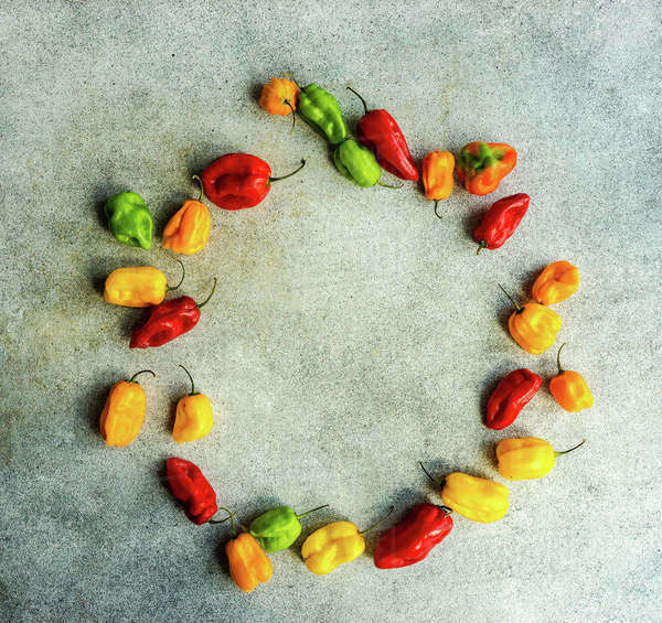 Overhead view of assorted red, green and yellow chilli peppers arranged ...