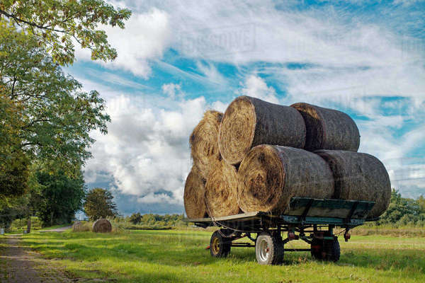 Stack of round hay bales on a trailer in a field, East Frisia, Lower ...