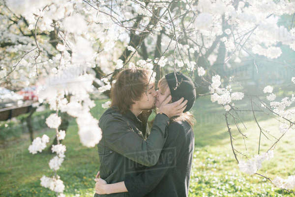 Couple standing under a cherry blossom tree in the park kissing in ...
