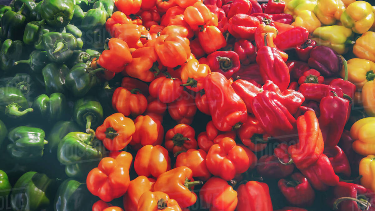 Full frame close-up of red, orange, yellow and green bell peppers at a ...
