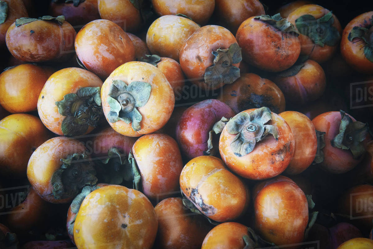 Full frame close-up of a stack of Persimmons - Royalty-free Stock Photo ...