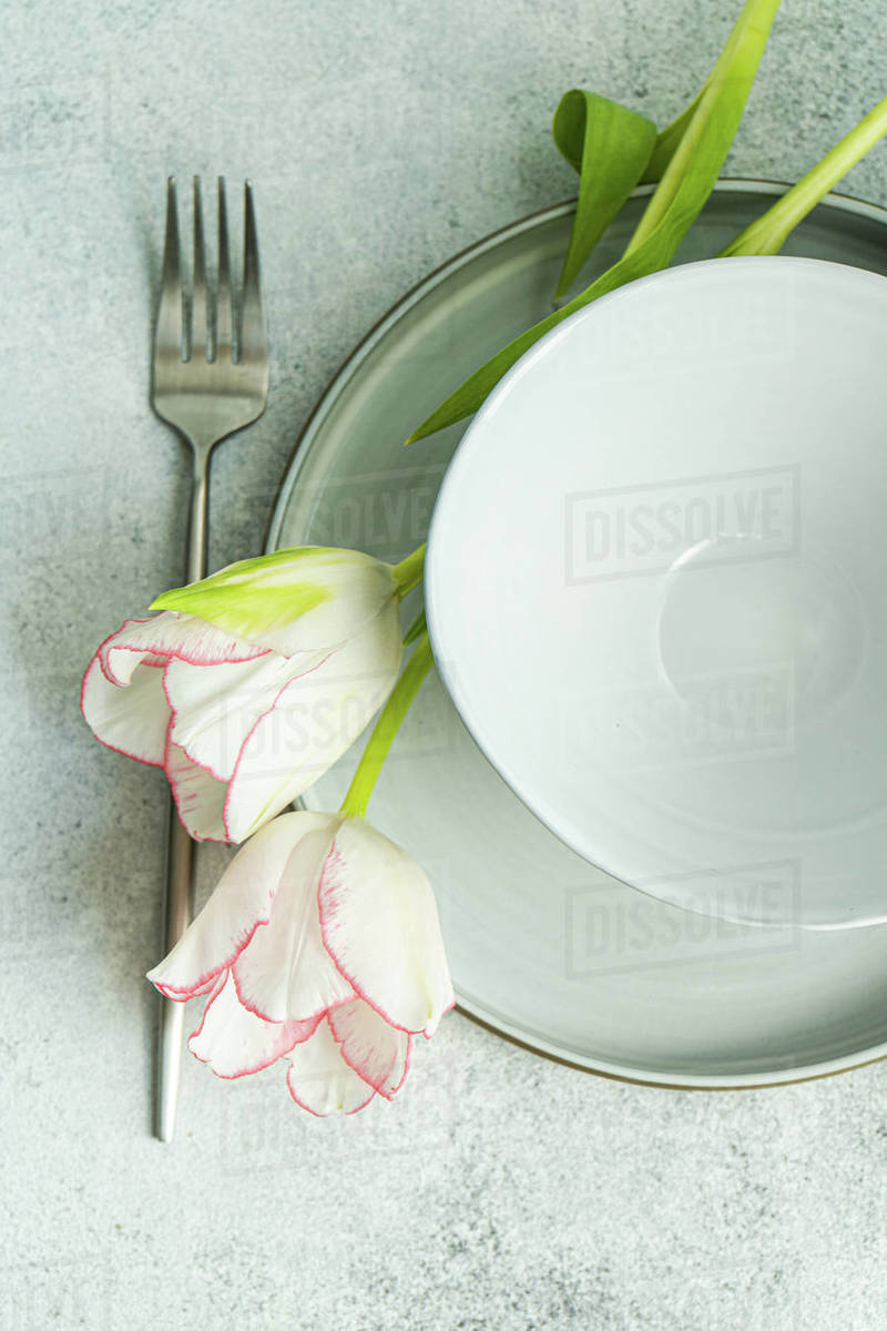 Close-up overhead view of a Spring place setting with white tulips ...