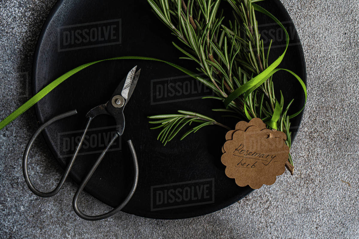 Overhead view of rosemary sprigs on a plate with scissors, ribbon and a ...