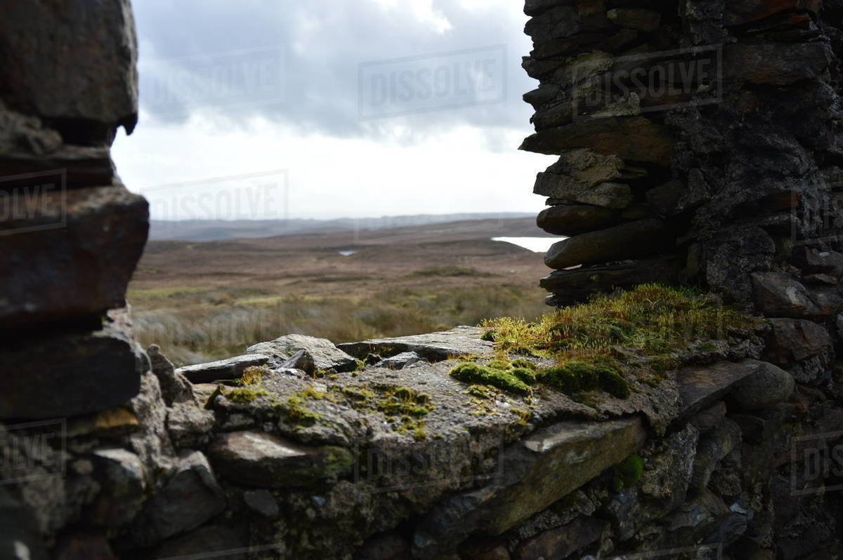 Ireland, Mossy coating on window of old uninhabited house - Stock Photo ...