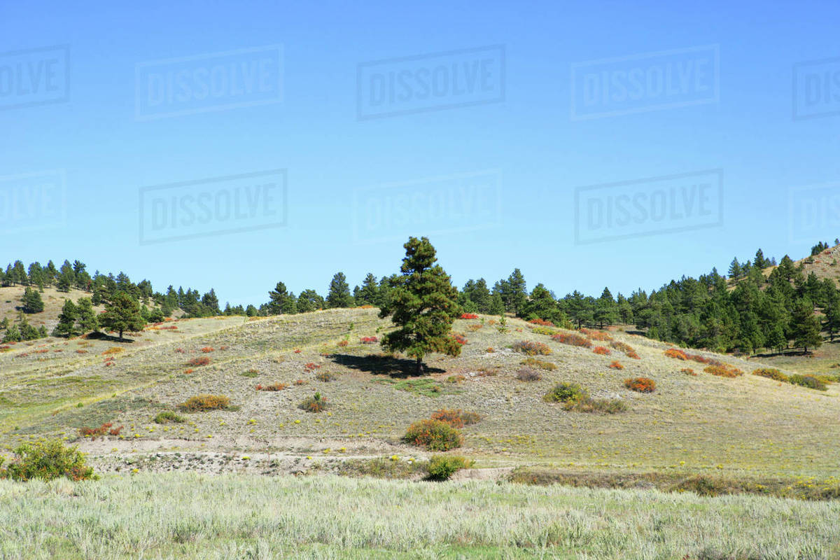Rural landscape, America, USA - Royalty-free Stock Photo | Dissolve