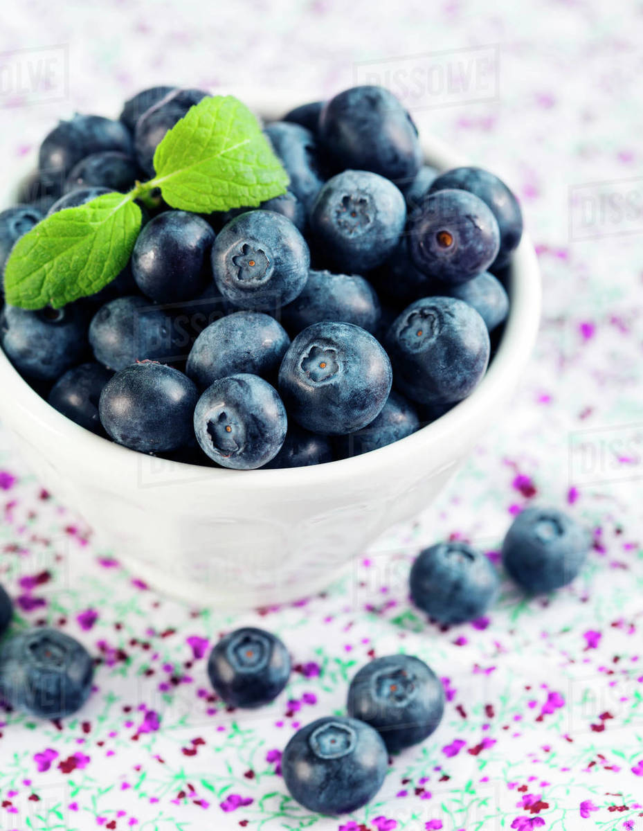 Fresh Blueberries in bowl - Royalty-free Stock Photo | Dissolve