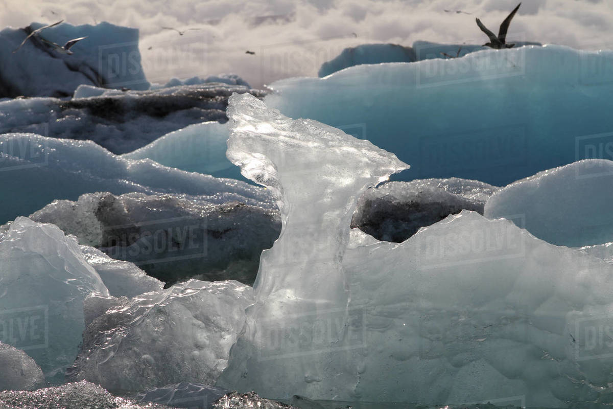 Close-up of ice floes floating in Joekulsarlon lagoon, Iceland - Stock ...