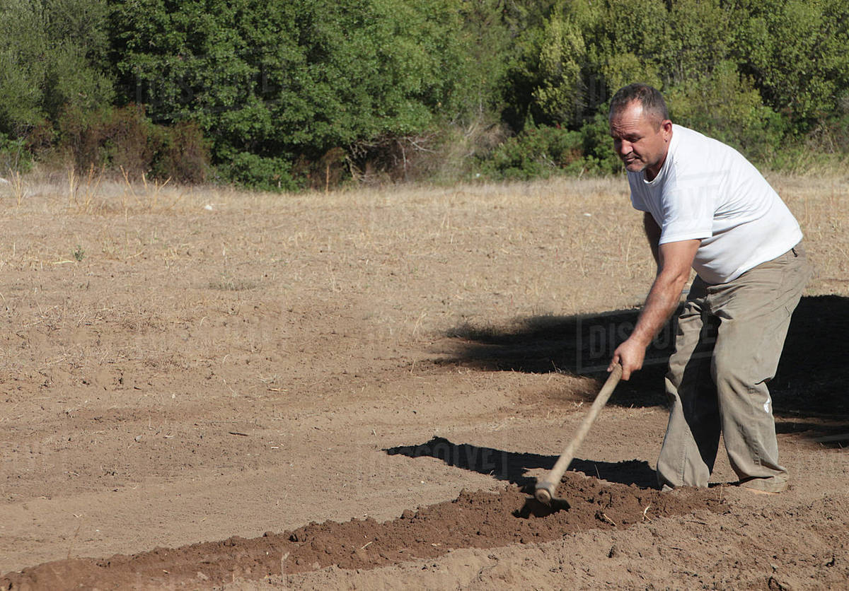 Man digging with garden hoe - Royalty-free Stock Photo | Dissolve