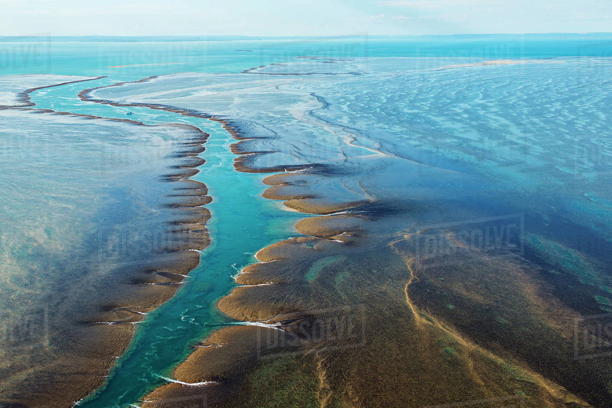 Aerial view of Montgomery Reef, Kimberley, Australia - Royalty-free ...