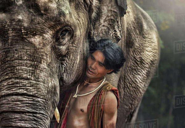 Mahout man With Elephant - Stock Photo - Dissolve