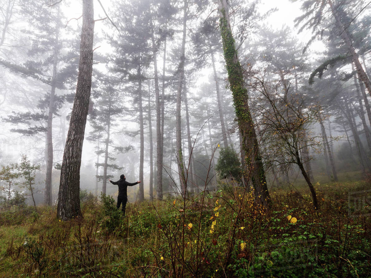 Man standing in forest with arms outstretched, Spain - Royalty-free ...