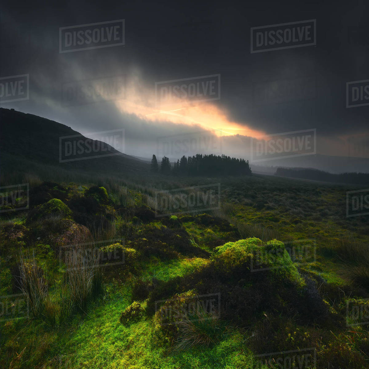 Rural landscape at sunrise, Ireland - Royalty-free Stock Photo | Dissolve
