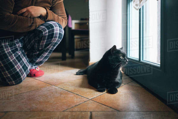 Woman kneeling down by her cat who is looking out of the door - Stock ...