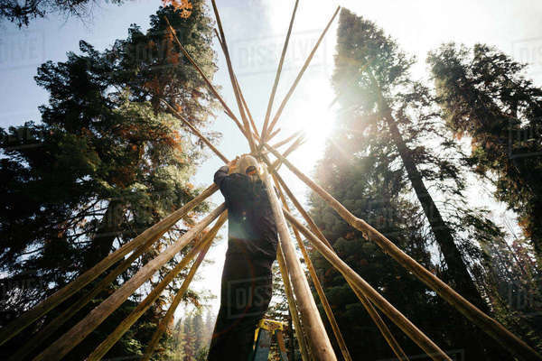 Man Building Tipi Structure, Sequoia National Forest, California ...