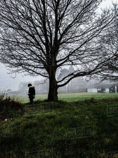 Boy standing under a tree - Royalty-free Stock Photo | Dissolve