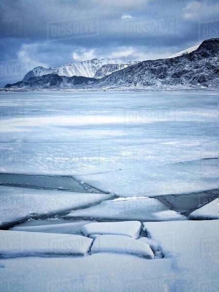 Ice fjord in winter, Bastad, Lofoten, Nordland, Norway - Stock Photo ...