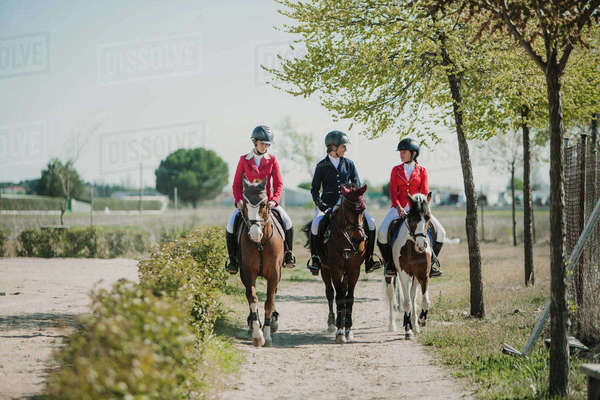 Row of teen women riding horses in row strolling down roadway in ...