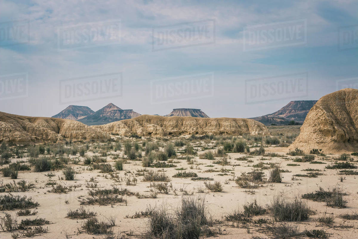 Desert landscape with dry vegetation on background of blue sky - Stock ...