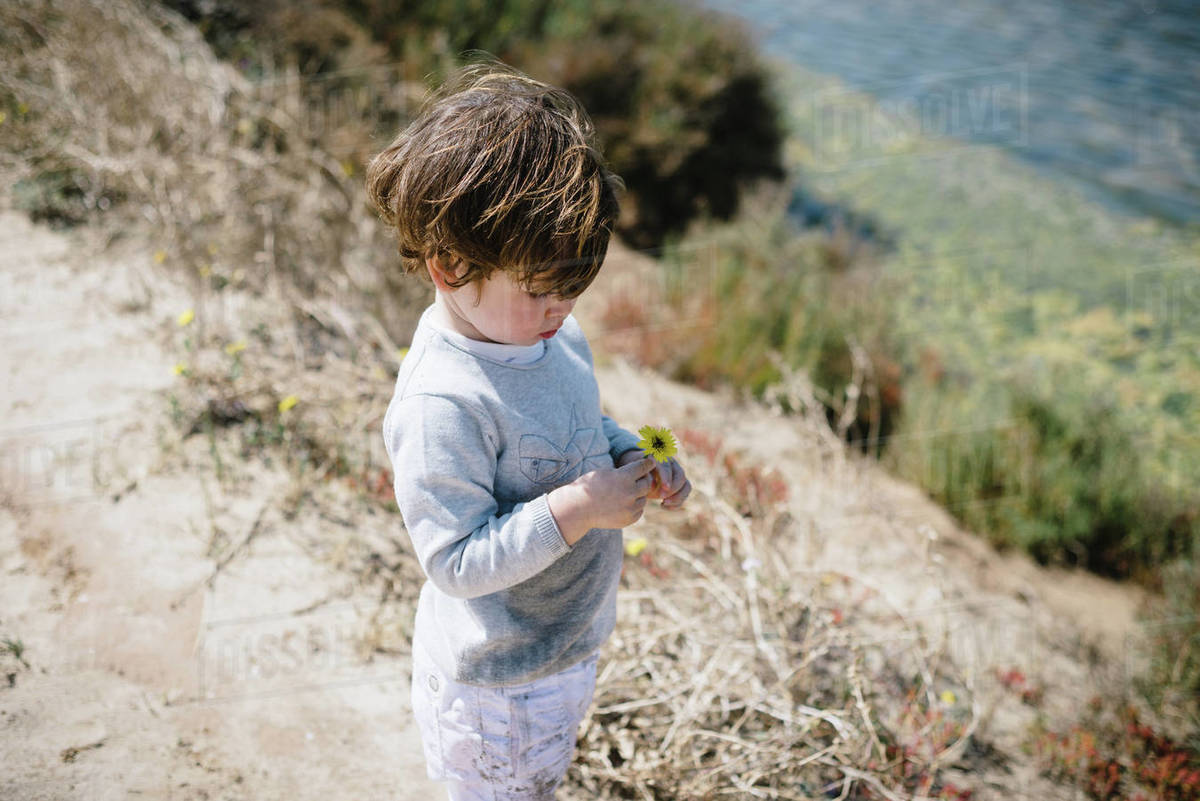 From above side view of adorable kid seriously looking at yellow flower ...
