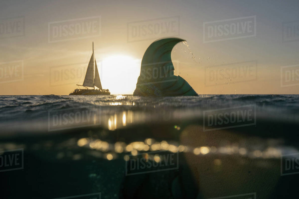 Crop beamed young mermaid with shiny fishtail diving into sea next to ...