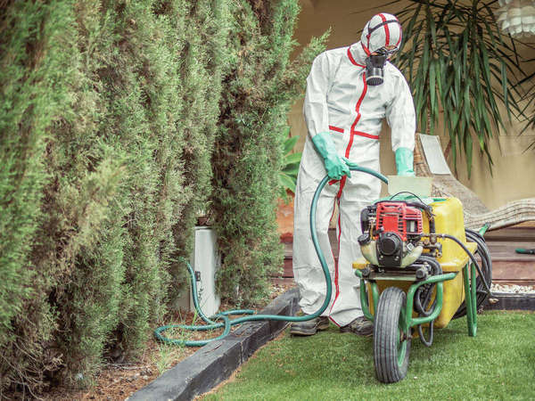 Skillful man in uniform for fumigation and respiratory mask taking ...