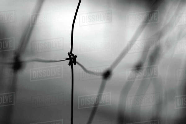 Closeup of shiny strained metal barbed wire on blurred background in ...