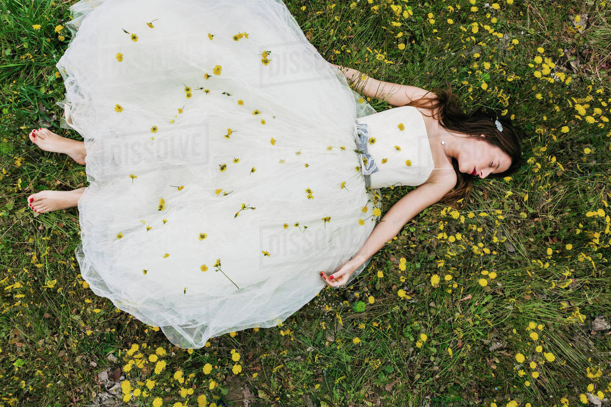 Relaxed bride lying in meadow with flowers - Stock Photo - Dissolve