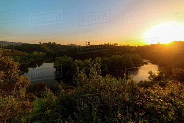 Peaceful river flowing in green nature - Stock Photo - Dissolve