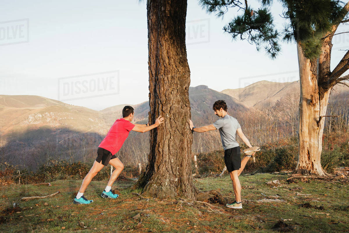 Side view of sportive male joggers doing stretching exercises leaning ...