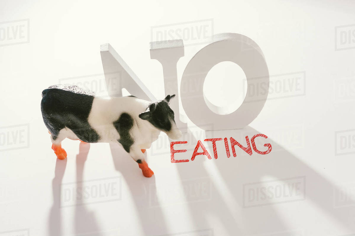 Concept of calling to stop eating animals - Royalty-free Stock Photo ...