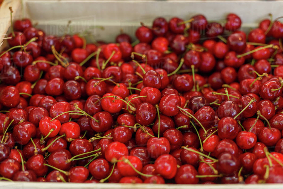 Pile of delicious cheery placed in wooden container on counter in local ...