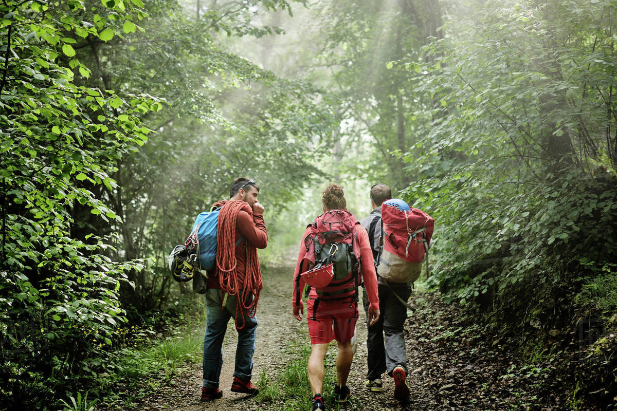 Back view of company of male mountaineers with climbing equipment and ...