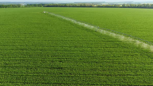 Aerial view of irrigation system on the agricultural corn field ...