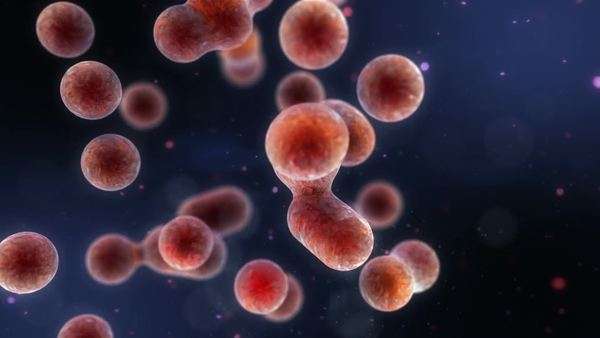 3D dynamic cells multiplying - Stock Video Footage - Dissolve