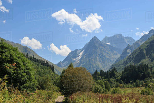 Standard license, Royalty-free Commercial photo from Dissolve.com ...