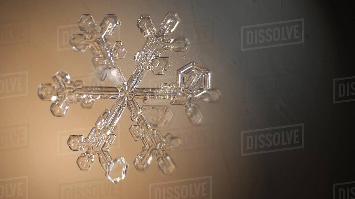 Gorgeous snowflake is melting. Top view under a microscope. - Royalty ...